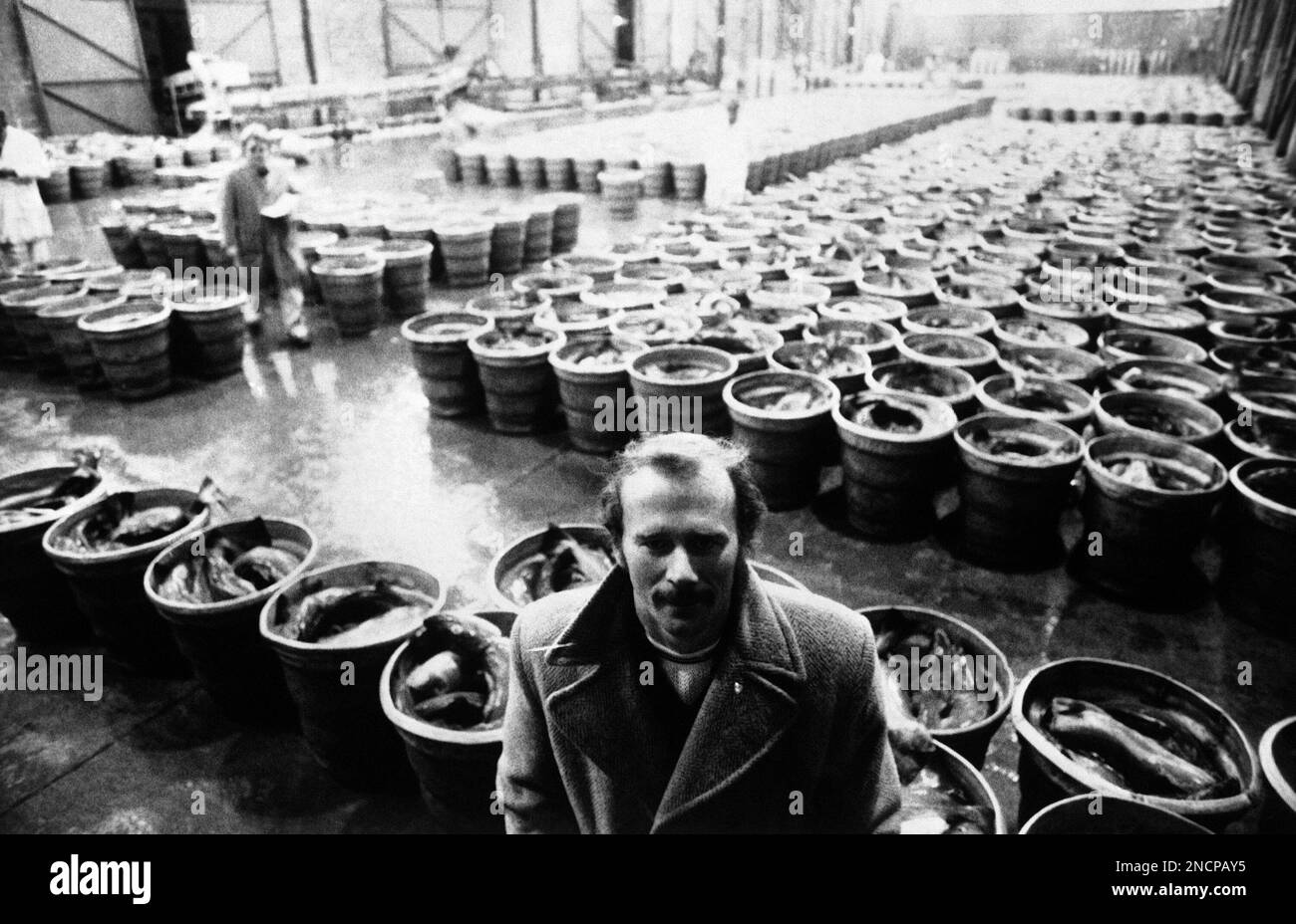 Mervyn Oakes, mate of the “Ross Otranto”, just returned to Hull, United ...