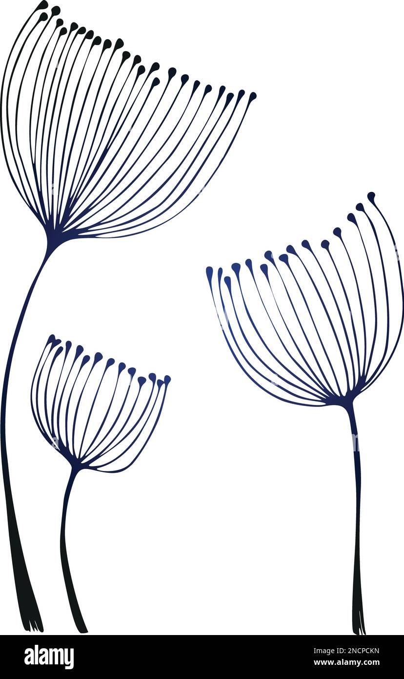 Ink, pencil, black and white flower sketch.Transparent background. Hand ...