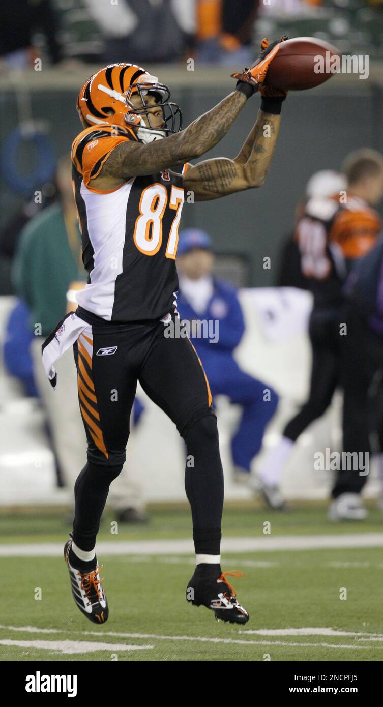 Cincinnati Bengals wide receiver Andre Caldwell warms up prior to an ...