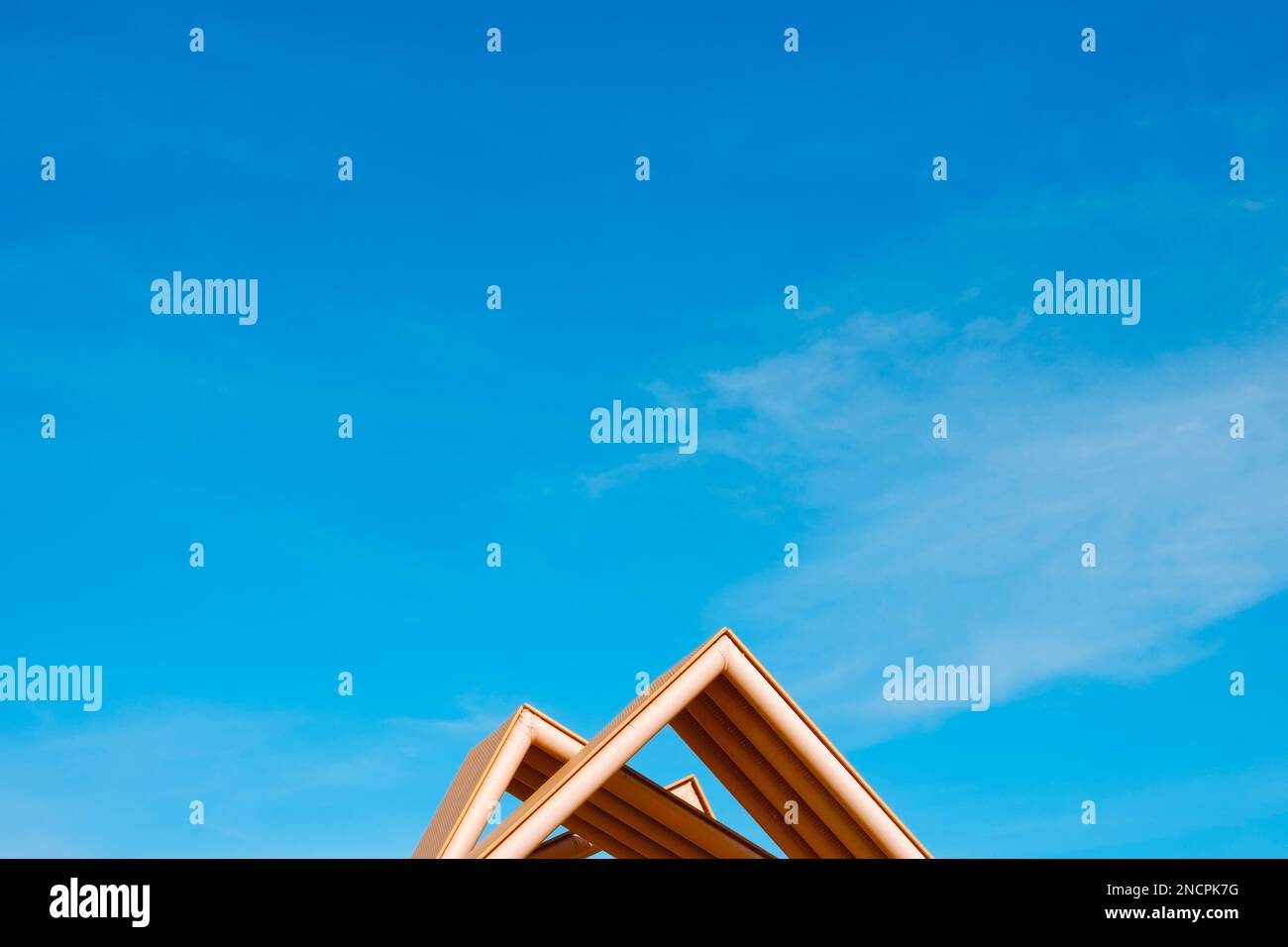 Minimalist photography on the park. Urban and geometry photography with ...