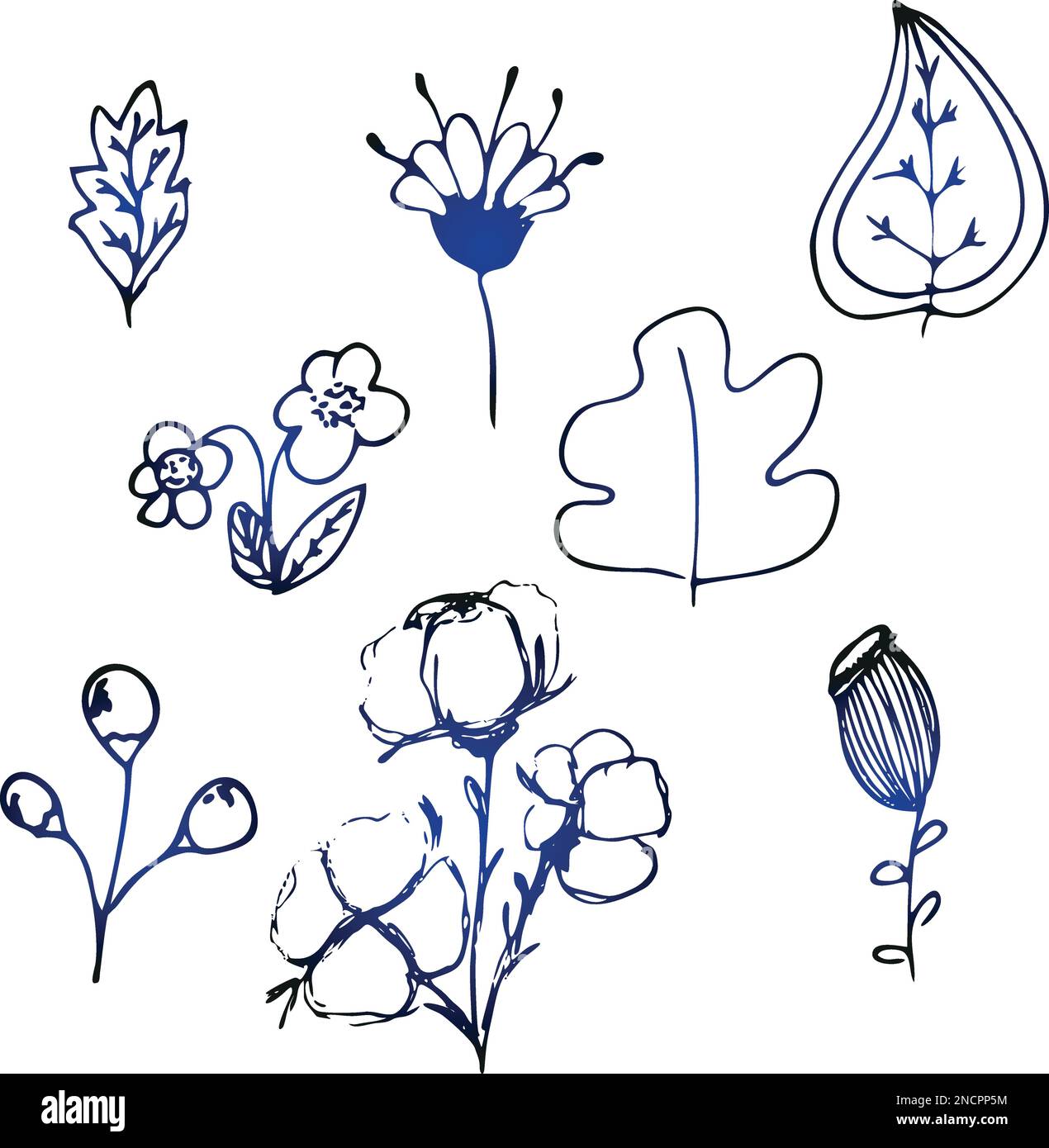 Vector collection of hand drawn plants. Botanical set of sketch flowers ...