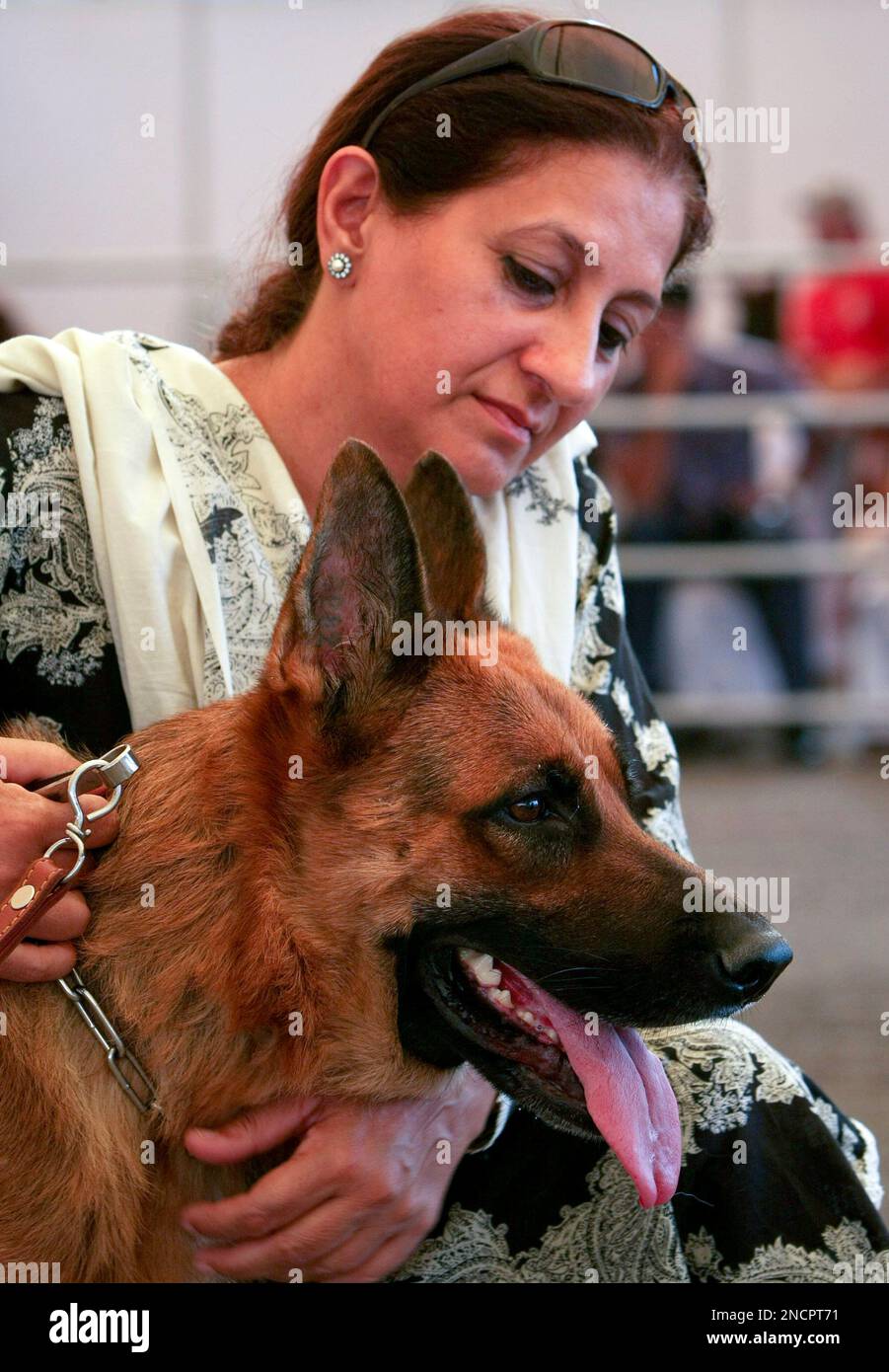 A woman looks at her German shepherd dog at a dog show arranged by the ...