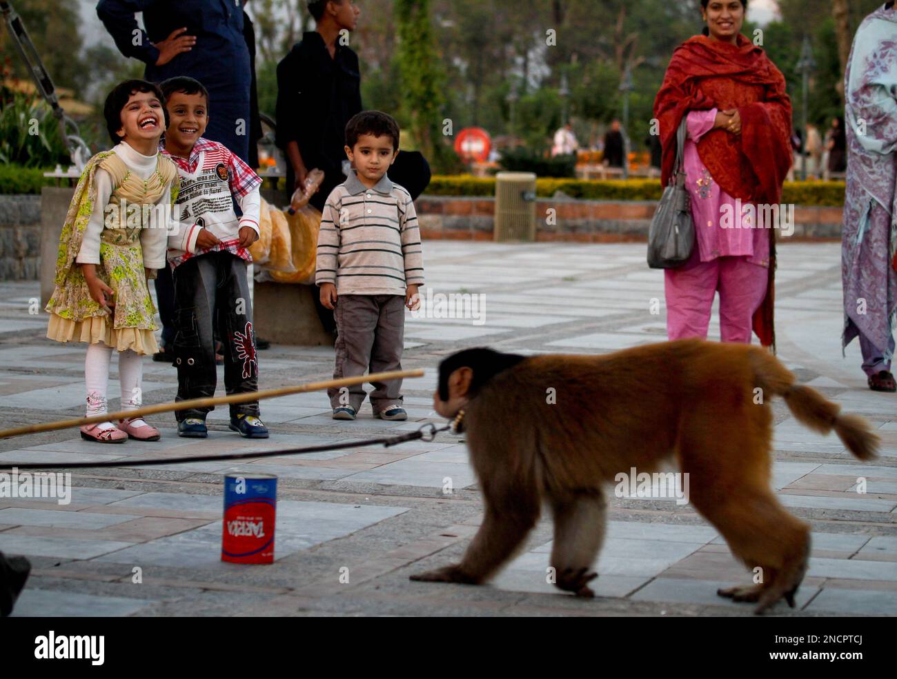 A Pakistani children reacts as they watch the performance of a trained ...