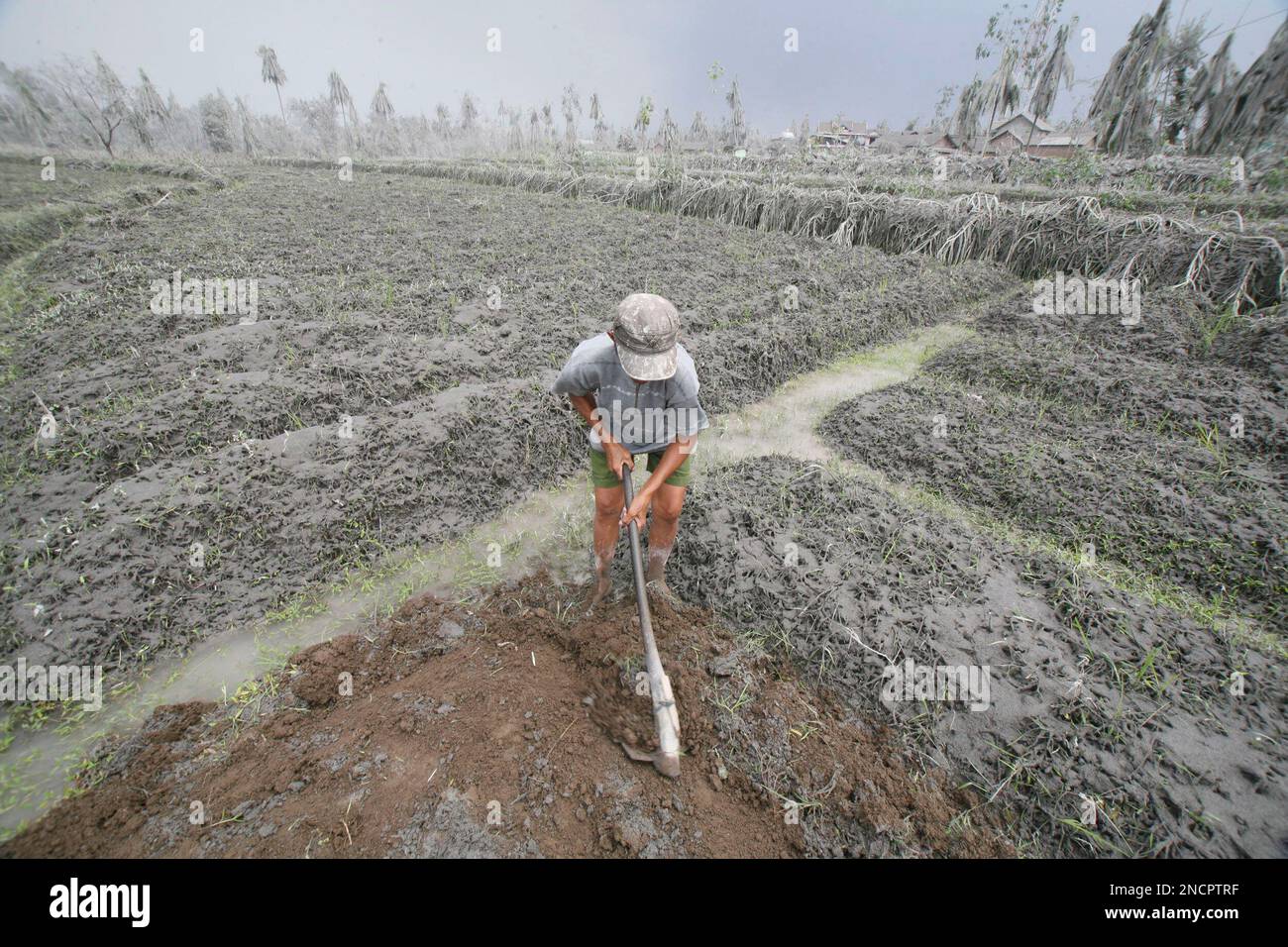 A villager works on his farm covered with volcanic ash from the ...