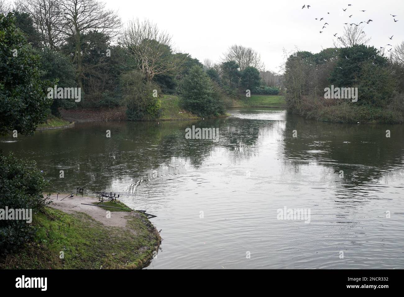 Stanley Park Lake. Liverpool Stock Photo - Alamy