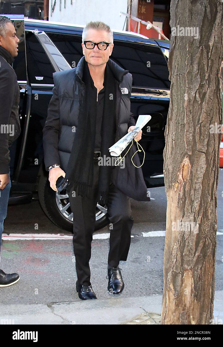 Lisa Rinna, Harry Hamlin on Today Show to talk about Valentine's Day in ...