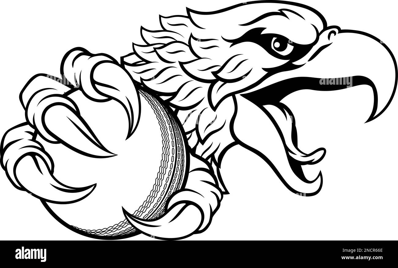 Eagle Hawk Cricket Ball Cartoon Sports Team Mascot Stock Vector Image ...
