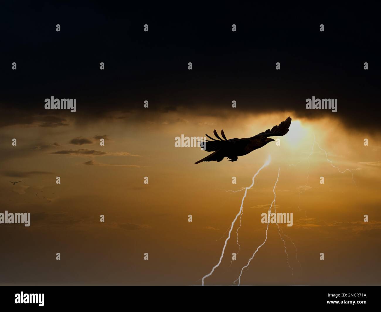 Crow past the lightning Stock Photo - Alamy