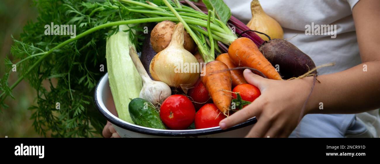 the boy is holding a bowl of freshly picked vegetables from the farm ...