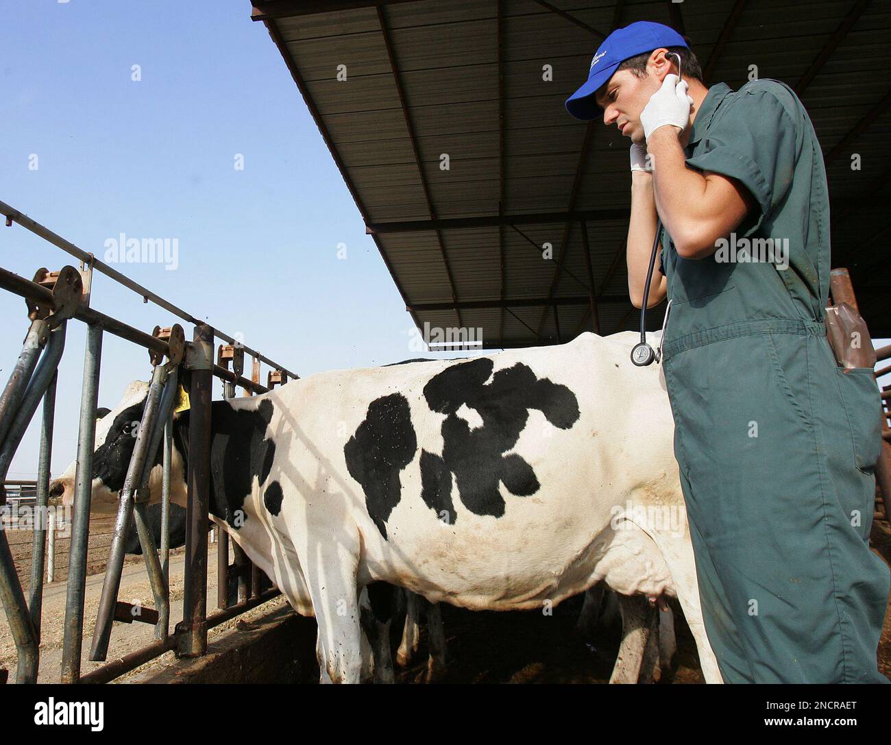 FILE - In an Oct. 1, 2010 photo, Dr. Stuart Hall of the Lone Oak Large ...