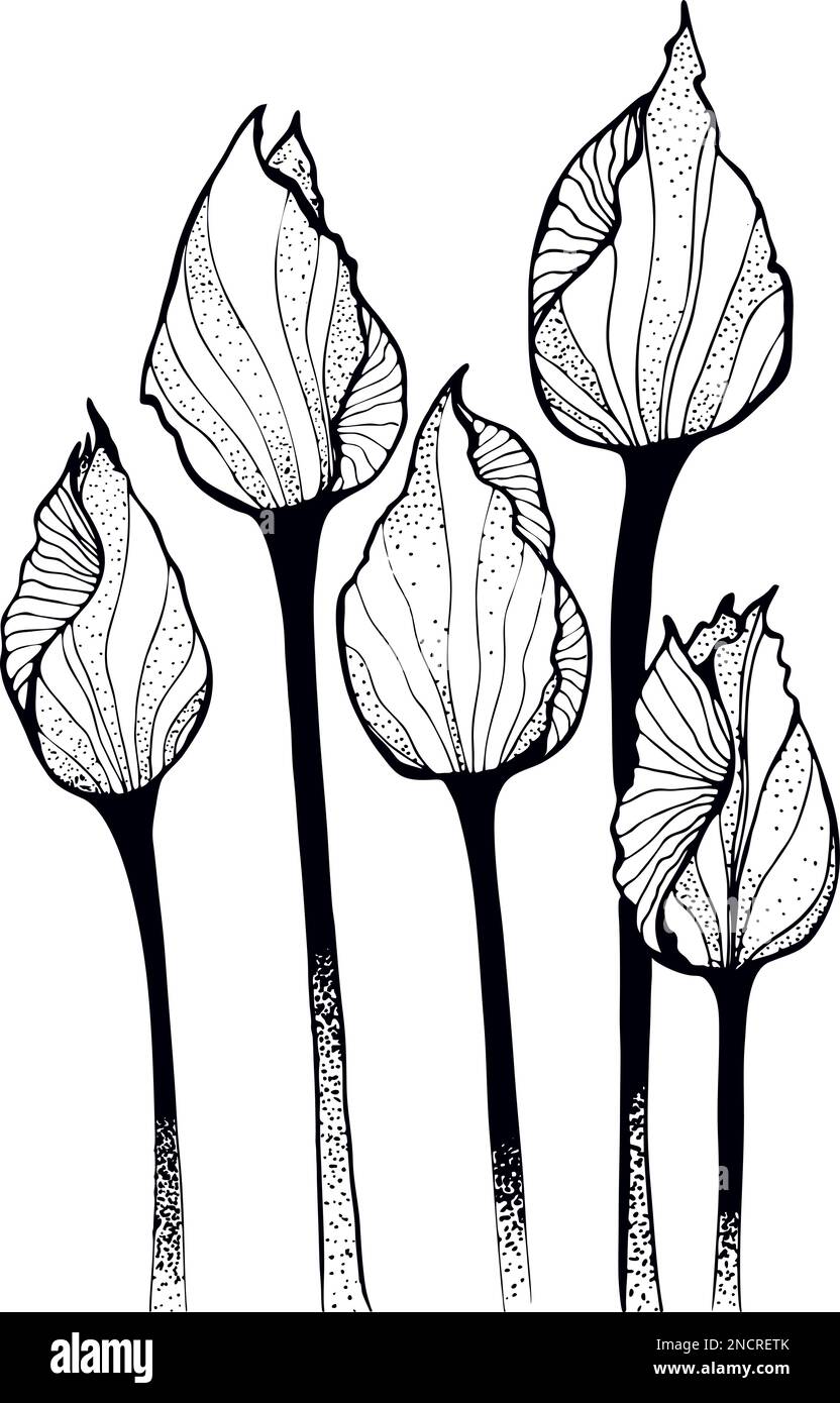 Drawing vector graphics with floral pattern for design. Floral flower ...