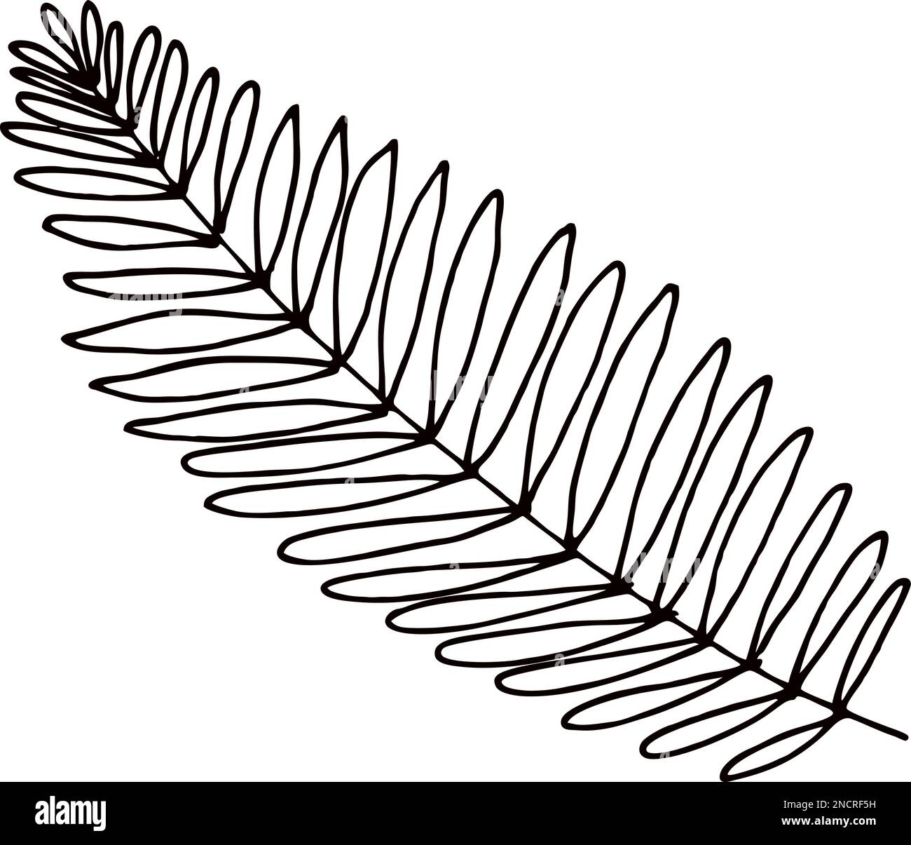 Long leaf drawing hi-res stock photography and images - Alamy