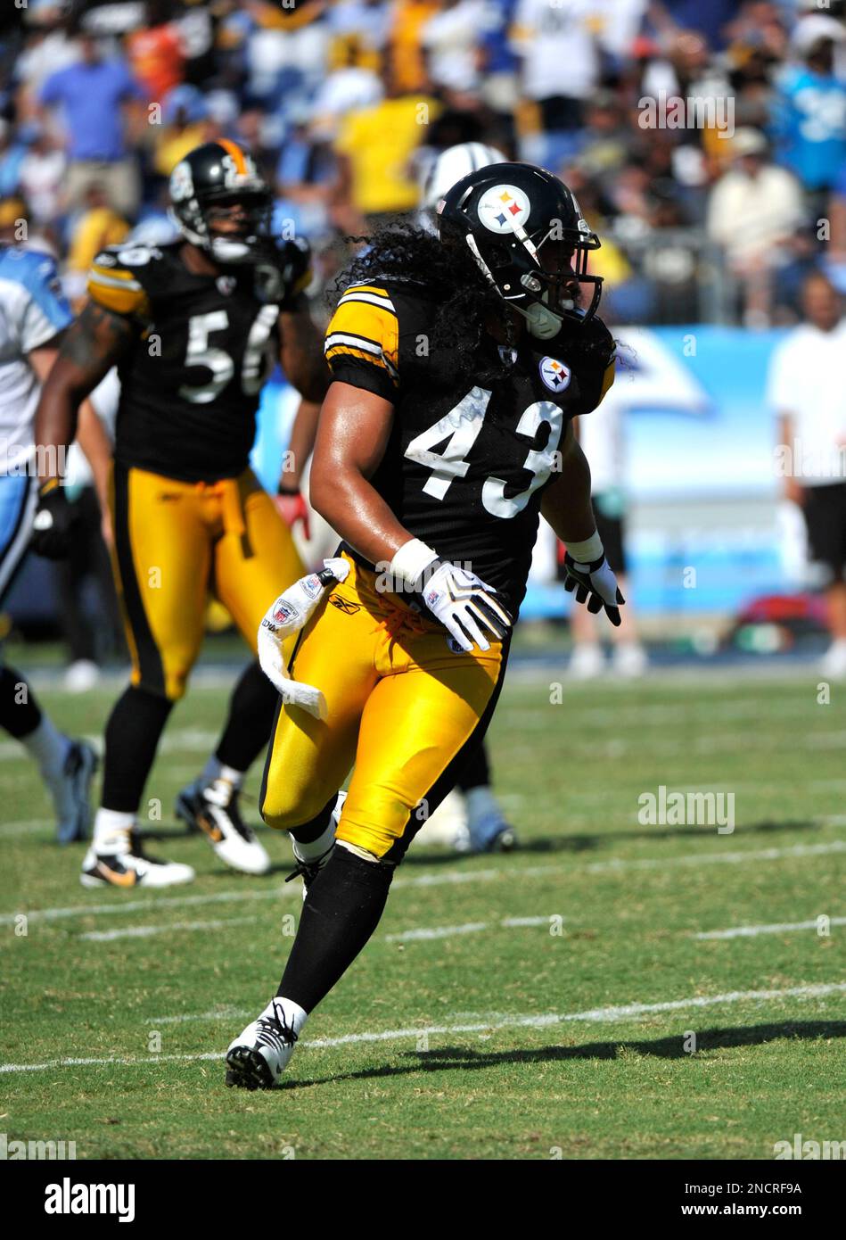 Pittsburgh Steelers safety Troy Polamalu (43) on the field in the ...