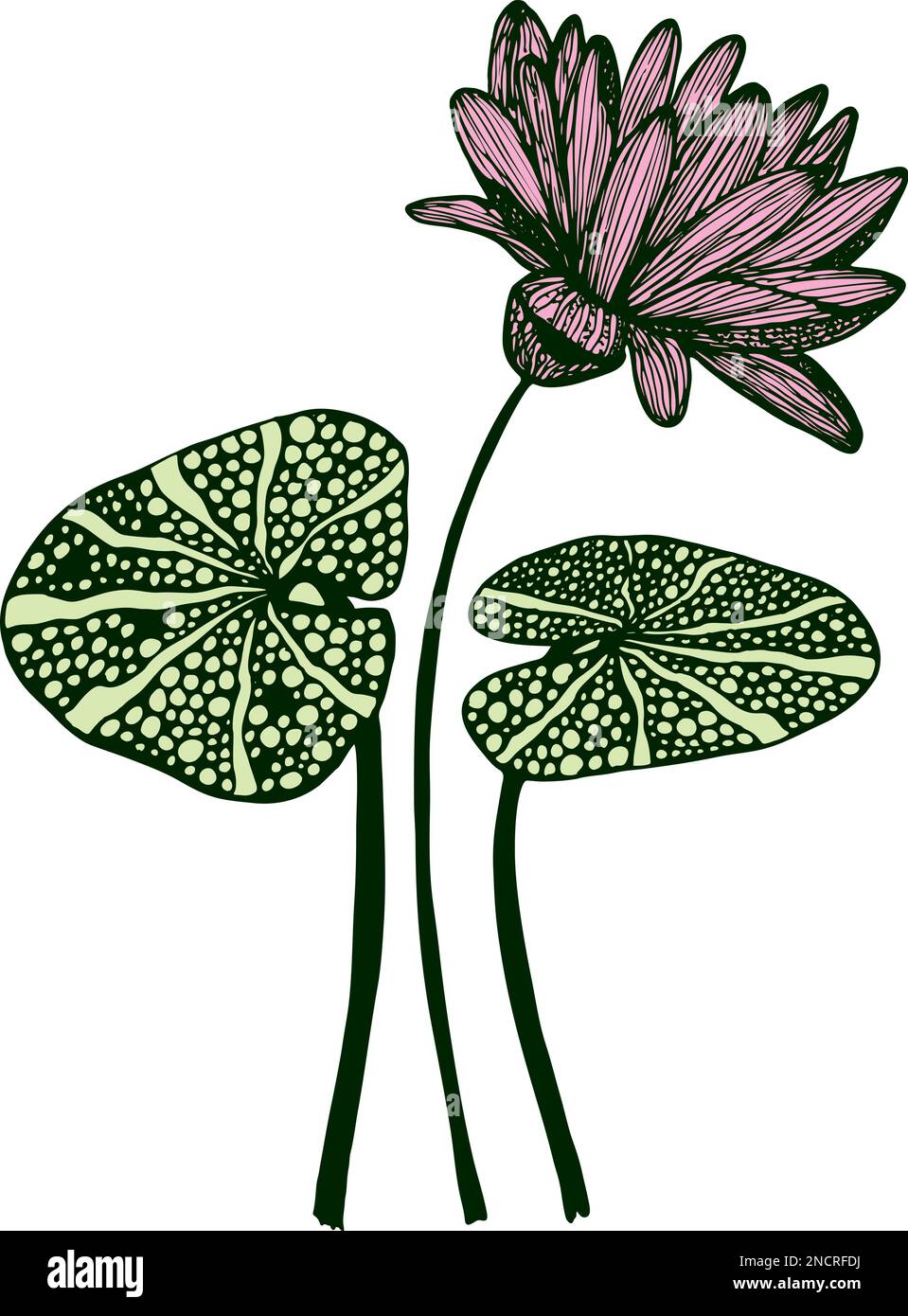 Drawing vector graphics with floral pattern for design. Floral flower natural design. Graphic ...