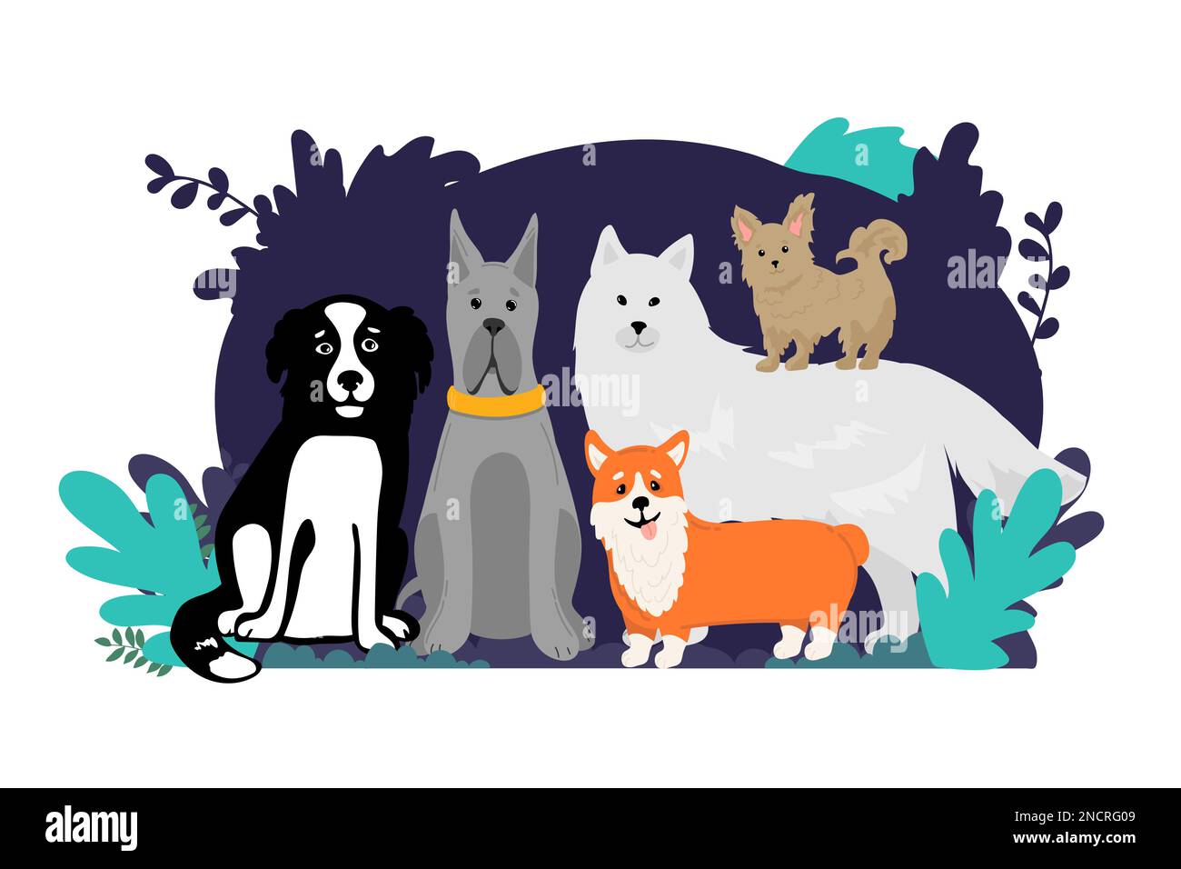 large dogs border set, front view spitz, french mastiff, labrador ...