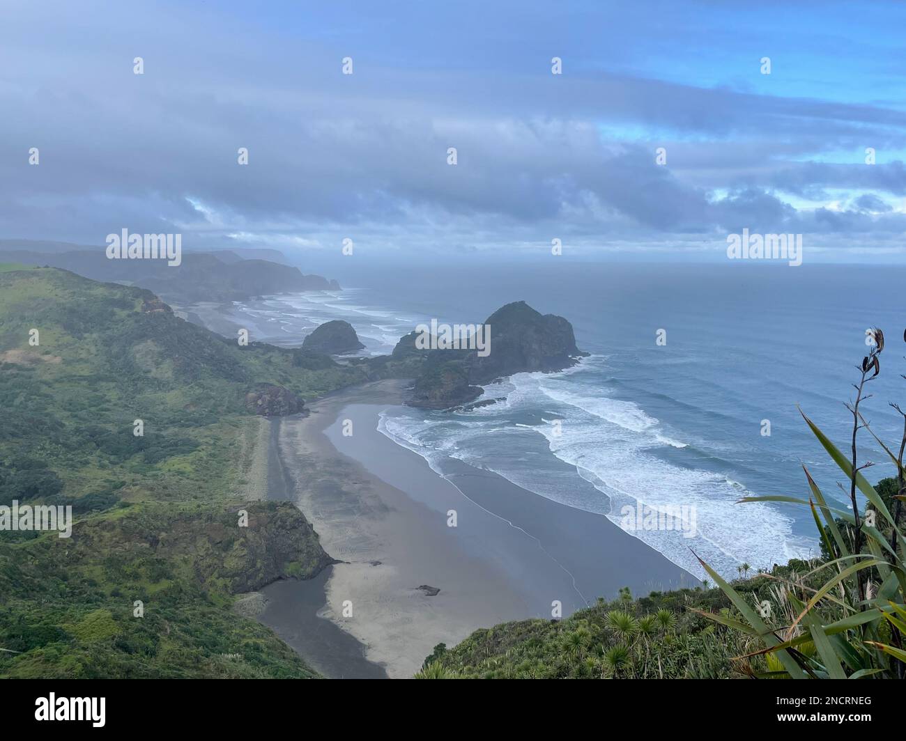 Aerial view of O'Neill Bay in a sunny day, Te Henga walkway, New ...
