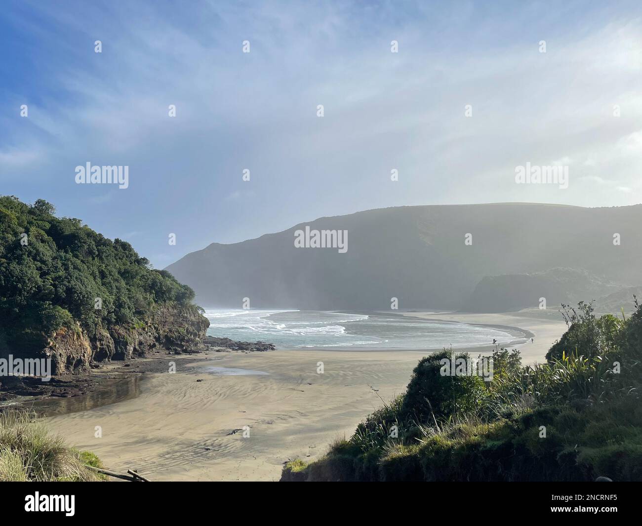 Aerial view of O'Neill Bay in a sunny day, Te Henga walkway, New ...