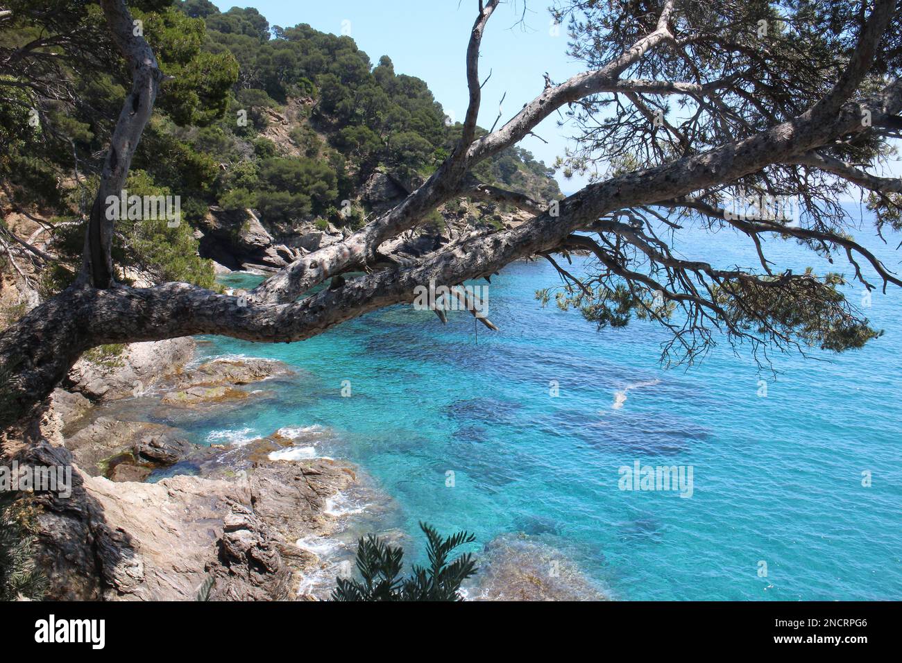 Le Rayol- Canadel Stock Photo - Alamy