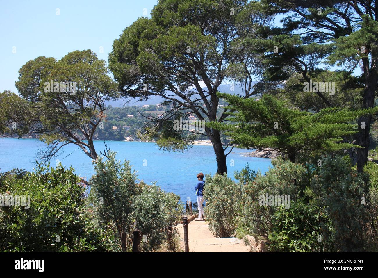 Le Rayol- Canadel : Gardens Stock Photo - Alamy