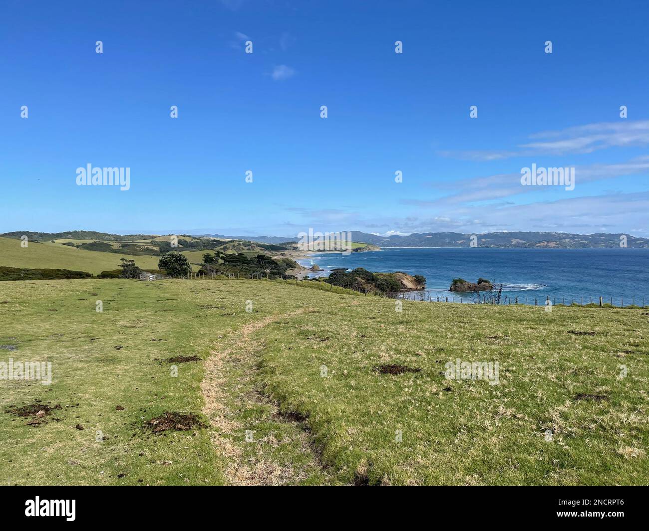 The view of Tawharanui Regional Park in a sunny day, New Zealand Stock ...