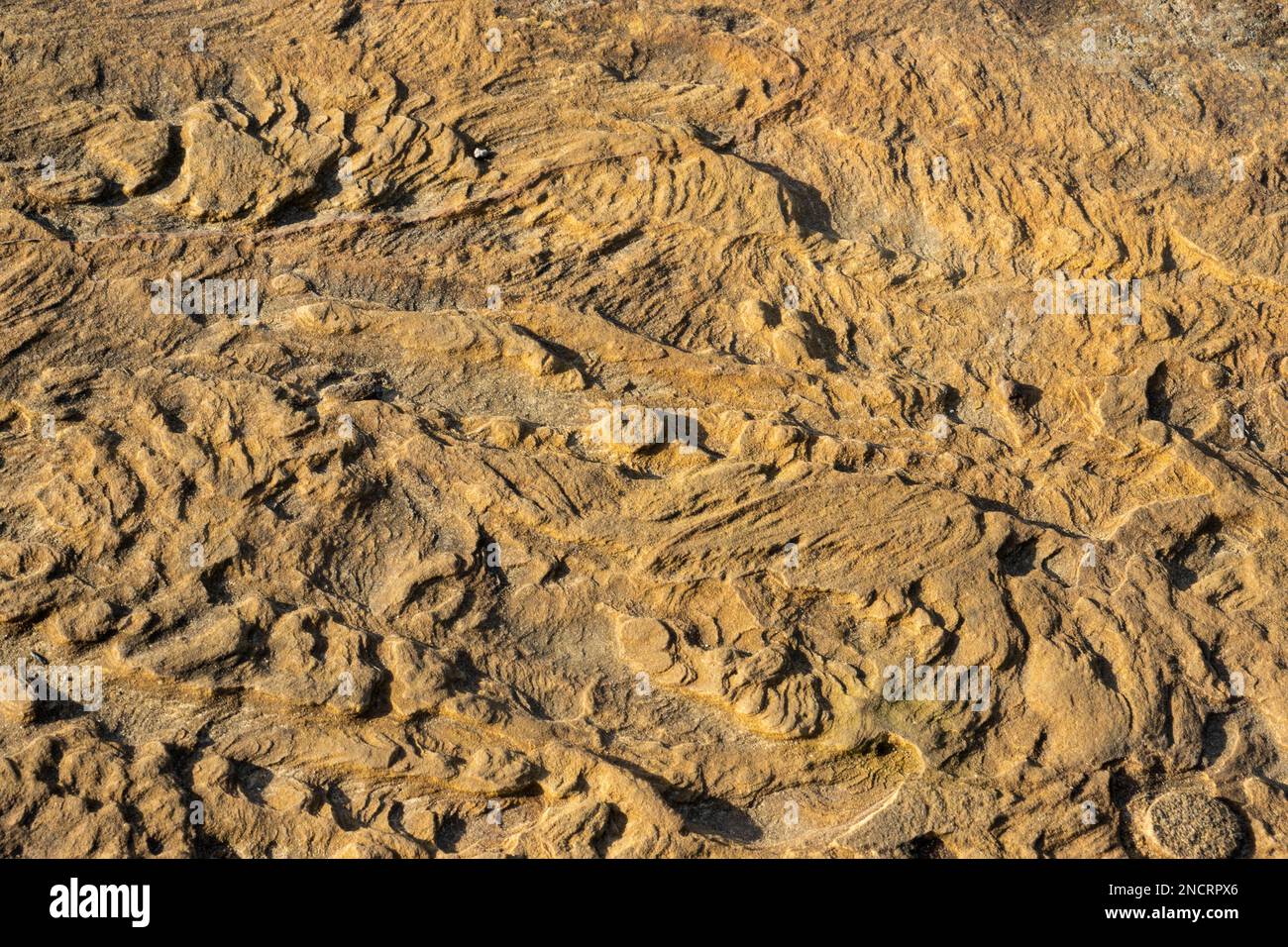The result of eons of erosion, the layer of Jurassic sandstone leaves a ...