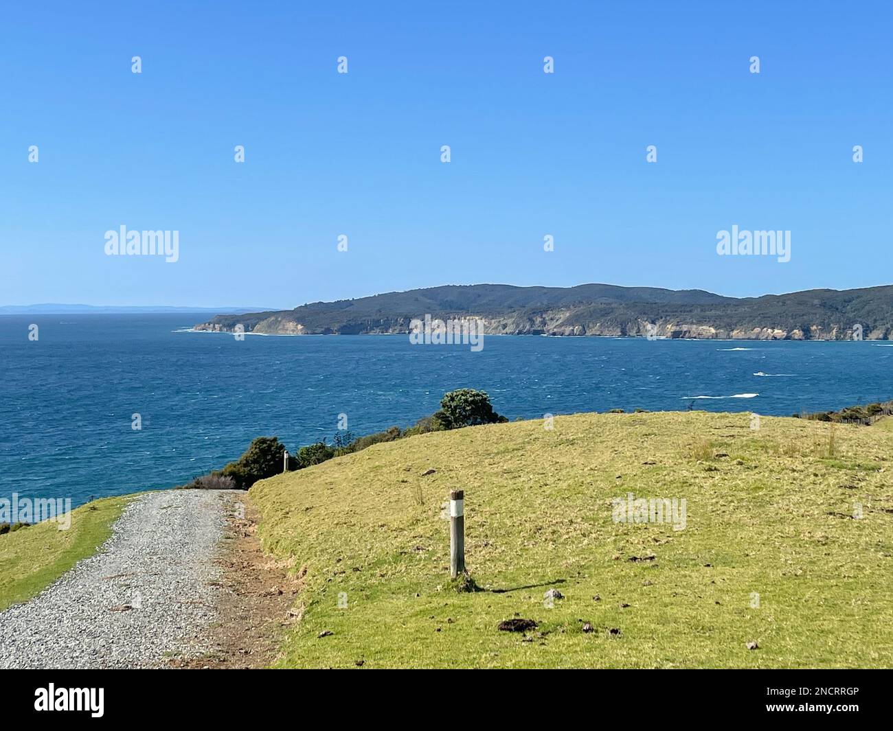 The view of Tawharanui Regional Park in a sunny day, New Zealand Stock ...