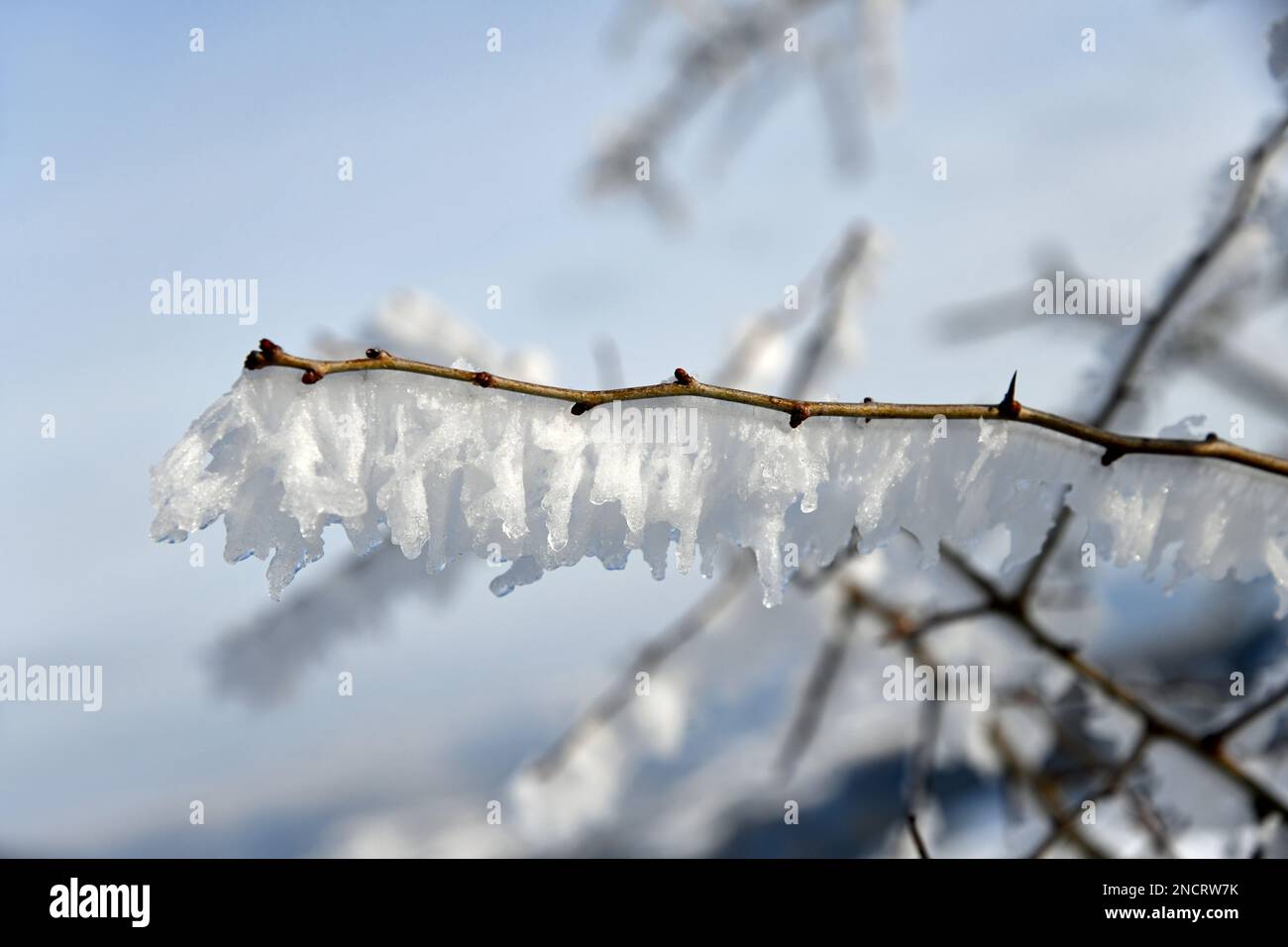 Freezing outside temperatures hi-res stock photography and images - Alamy