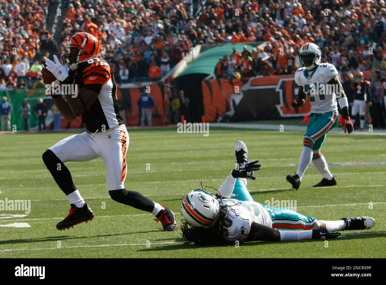 Cincinnati Bengals wide receiver Terrell Owens (81) catches a touchdown ...