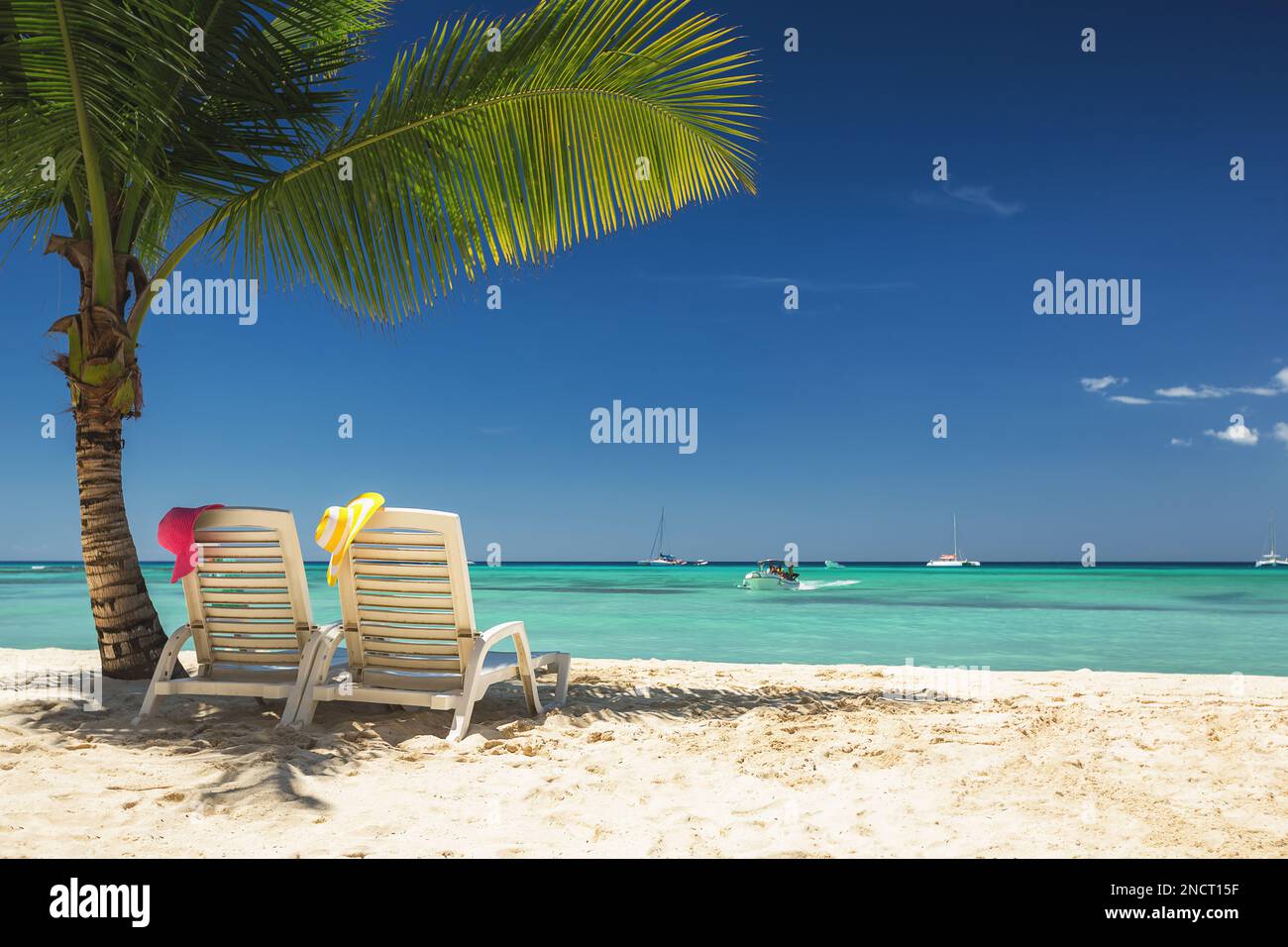Palm tree and tropical island beach with lounge sun chairs Stock Photo ...