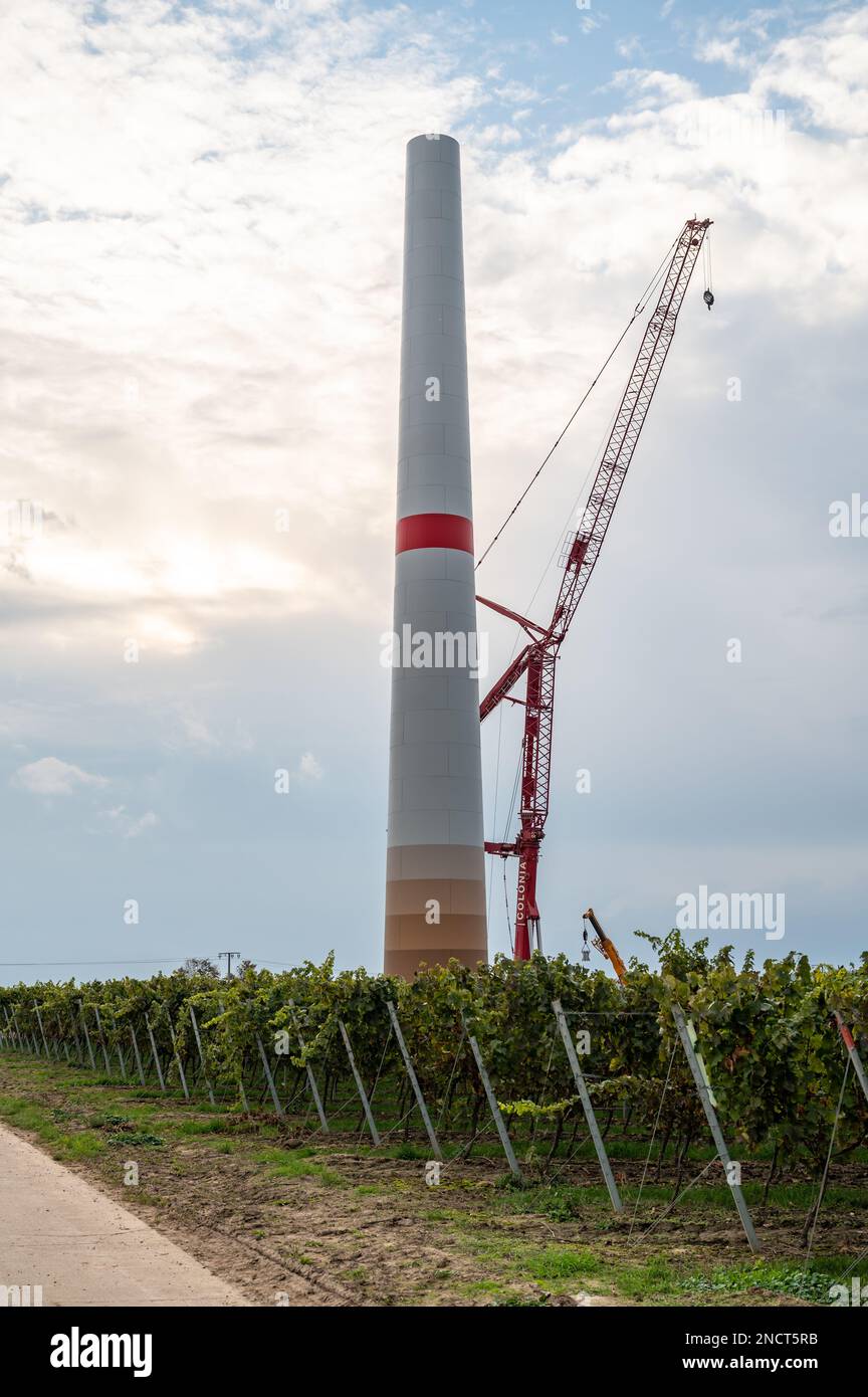 Construction site of a wind turbine with vine plants in front, crane ...