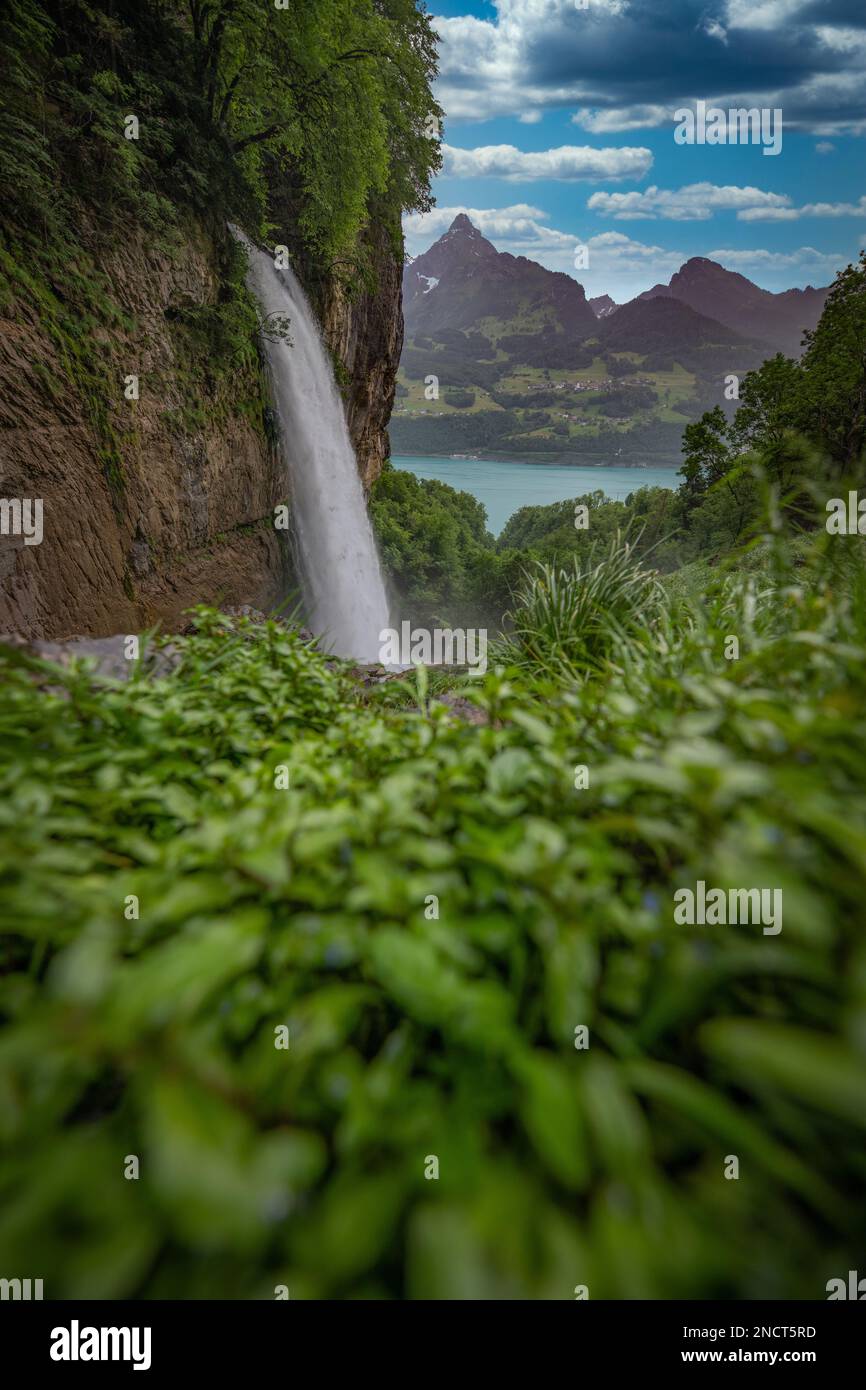 A mighty waterfall flowing from a mountain surrounded by green grass ...