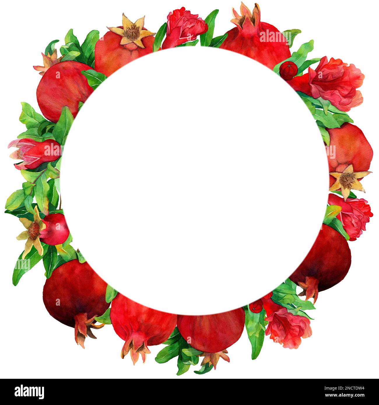 Watercolor painted round frame of fresh pomegranate. Sweet Red Fruit ...