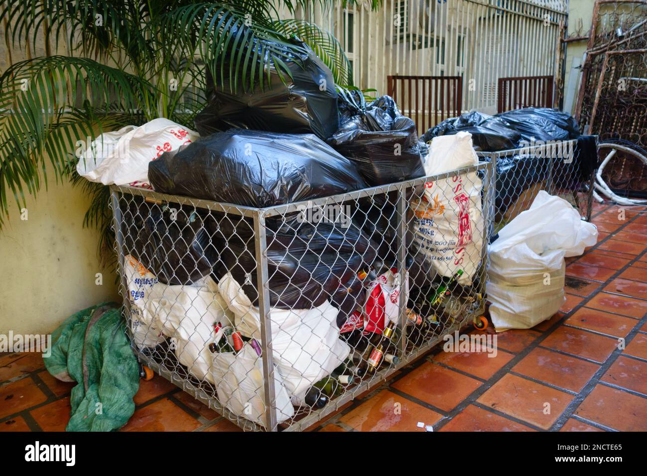 Volunteers in Phnom Penh, Cambodia collect recycling and transport it ...