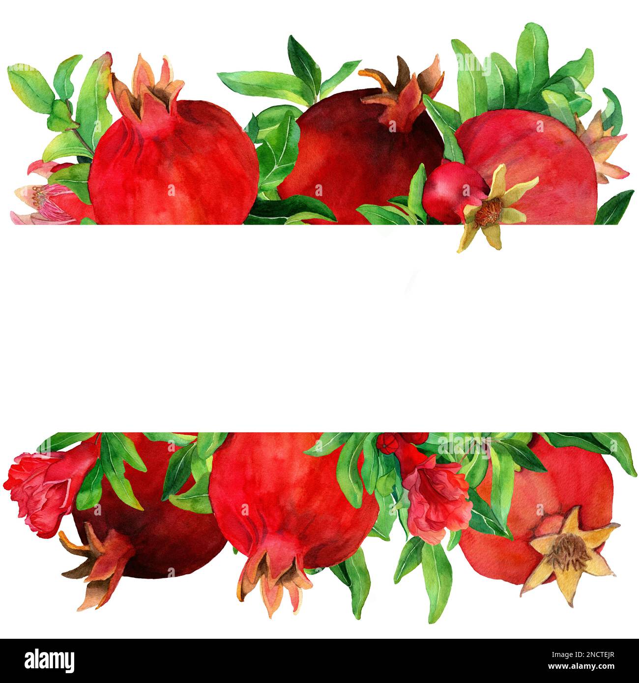 Botanic illustration fruit hi-res stock photography and images - Alamy