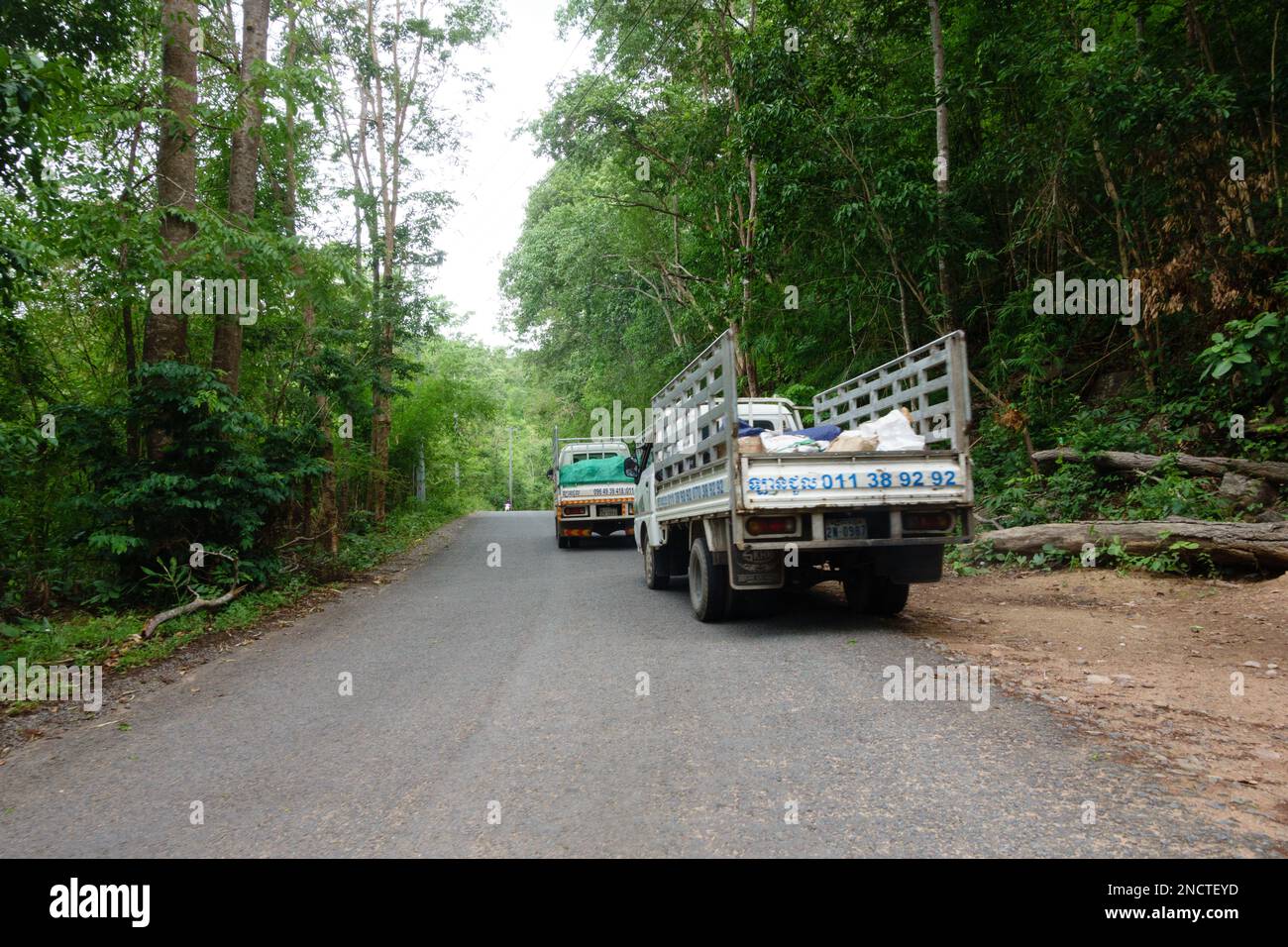 Volunteers in Phnom Penh, Cambodia collect recycling and transport it ...