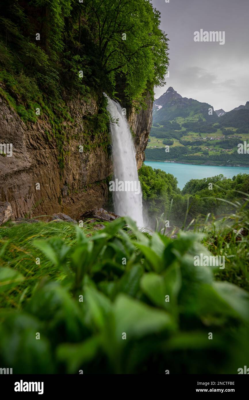 A mighty waterfall flowing from a mountain surrounded by green grass ...