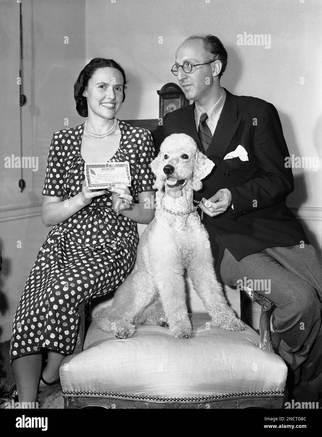 Dandy, a French poodle, poses with his mistress and master, Elaine ...