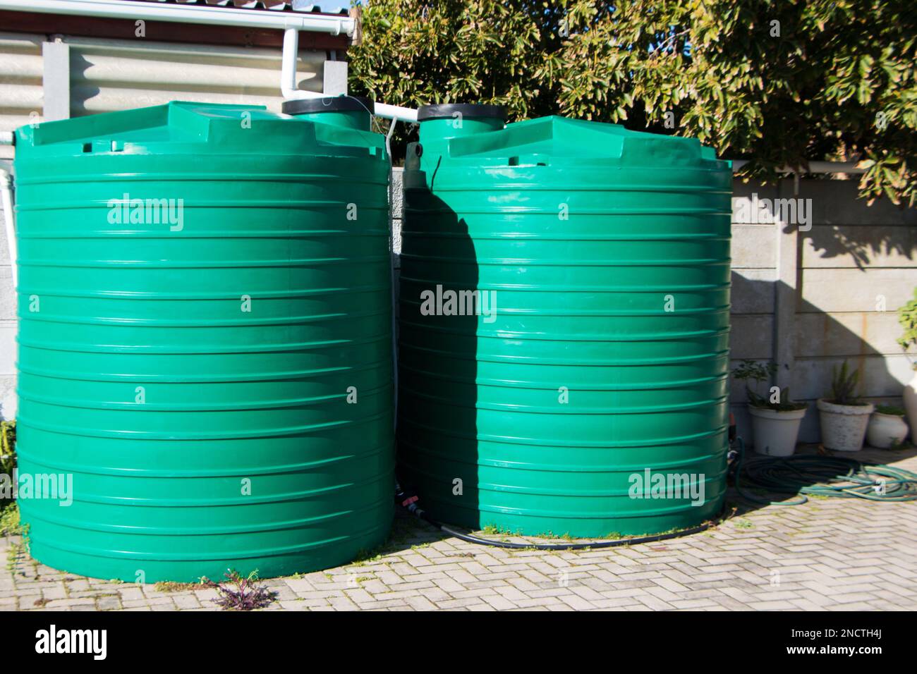 green water catchment plastic tanks setup backyard pipes for water ...