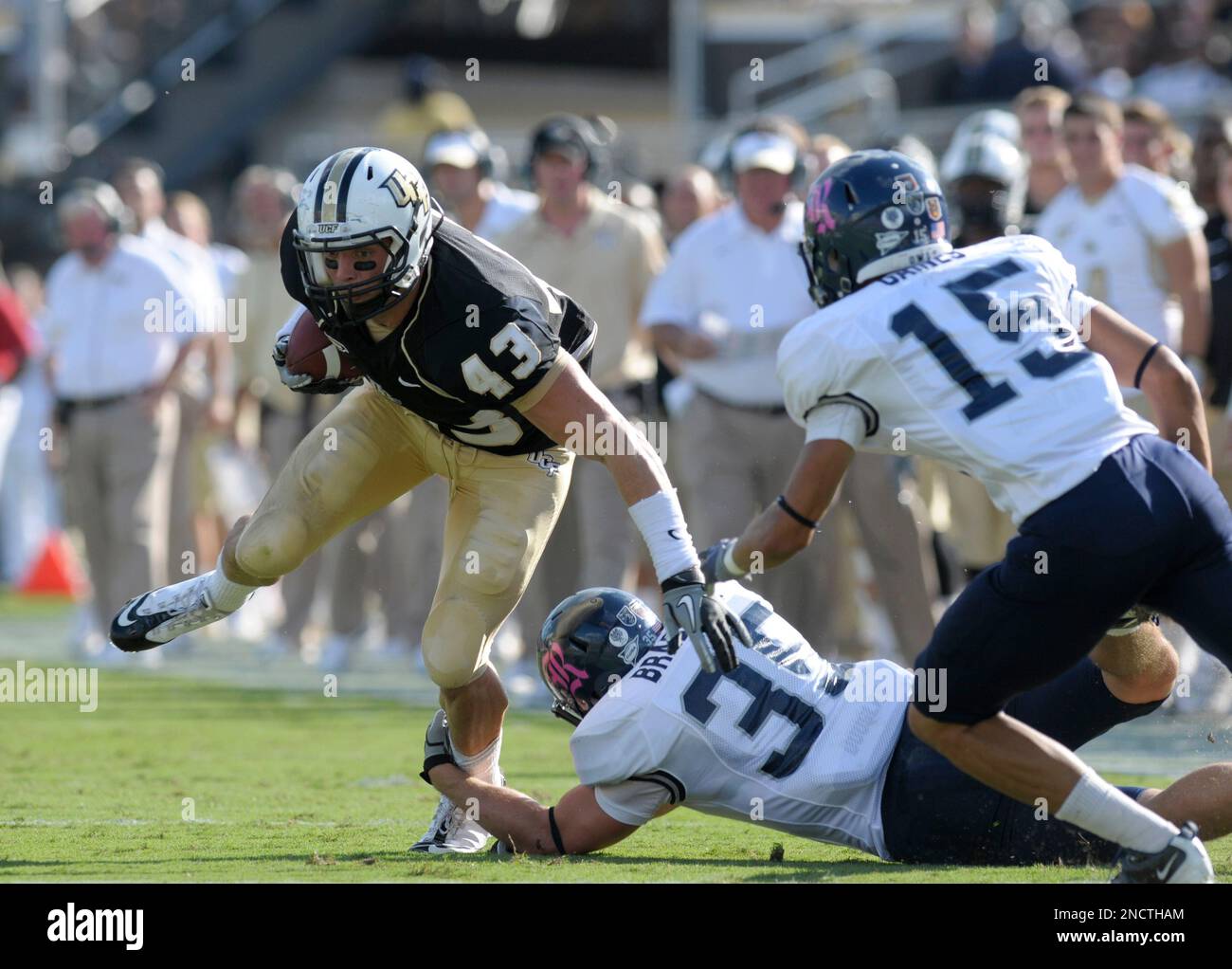 Travis gaines hi-res stock photography and images - Alamy