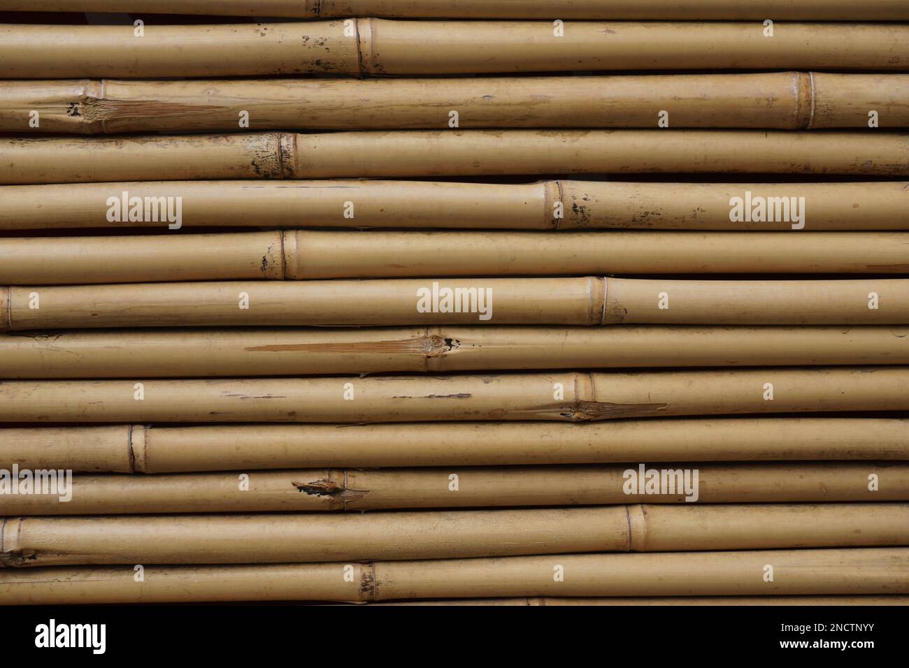 Sustainable decoration hi-res stock photography and images - Alamy