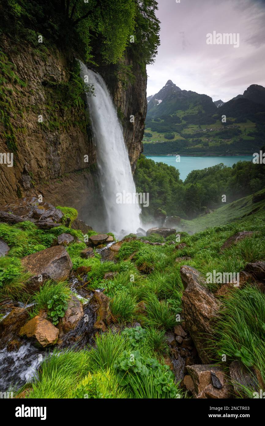 A mighty waterfall flowing from a mountain surrounded by green grass ...