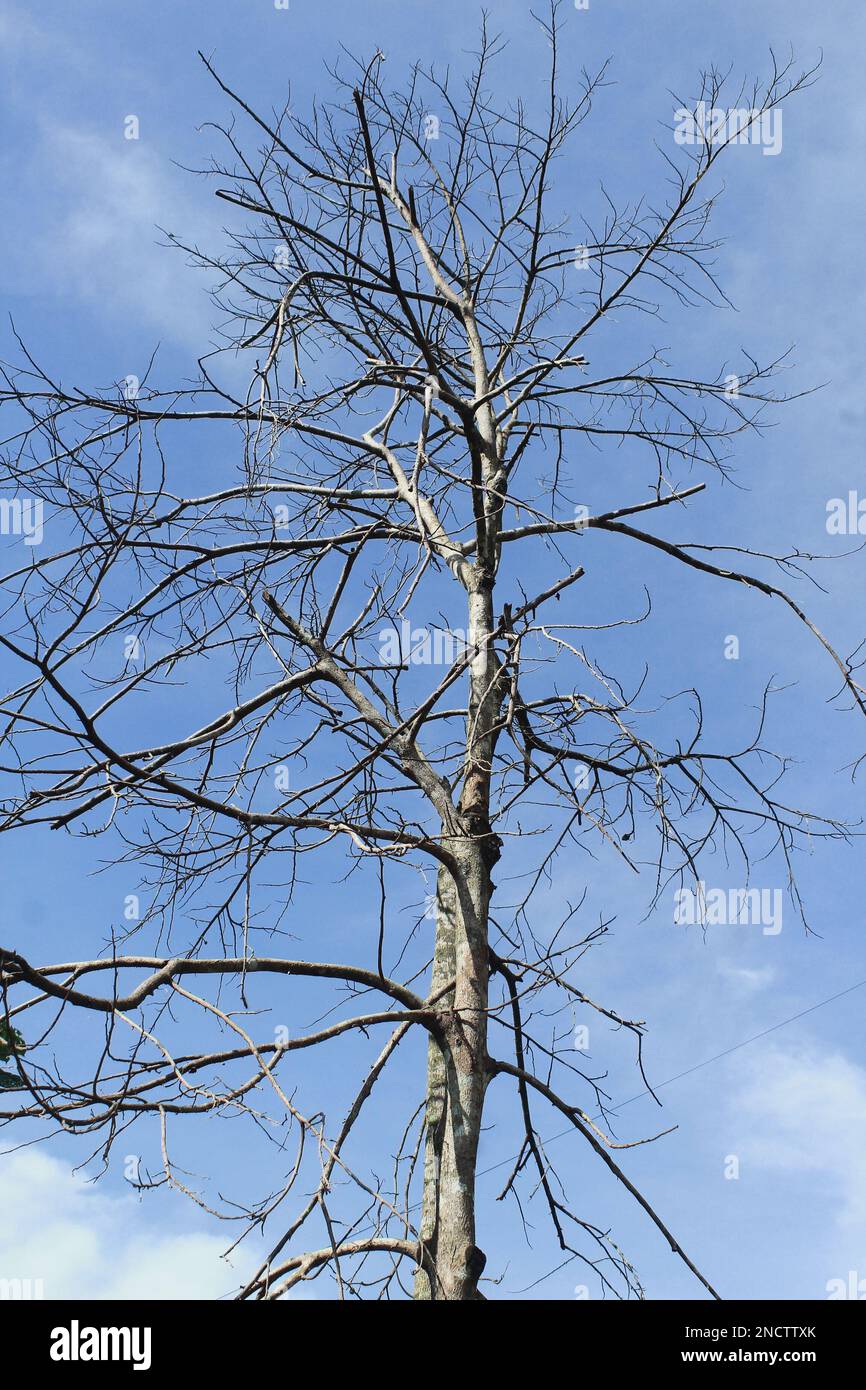 Best Nature Pics Stock Photo - Alamy