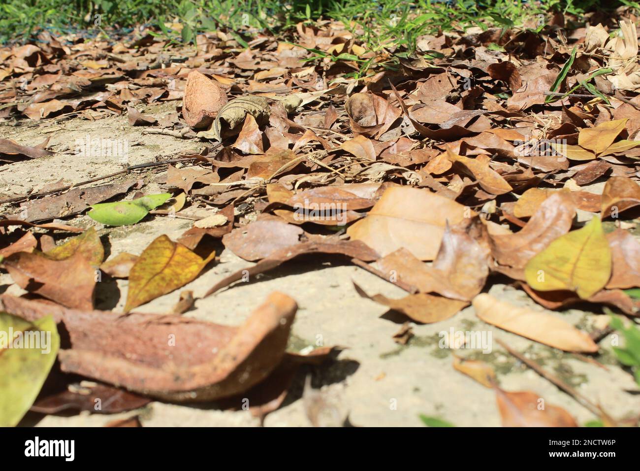 Best Nature Pics Stock Photo - Alamy