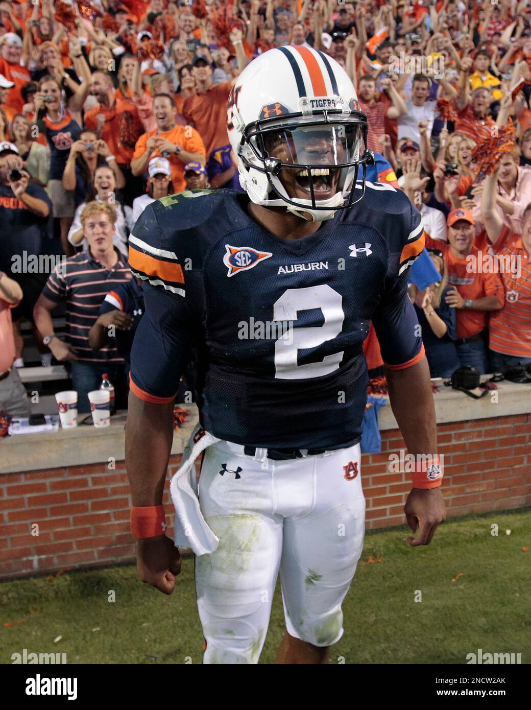 Auburn quarterback Cameron Newton celebrates a 24-17 win over LSU in ...
