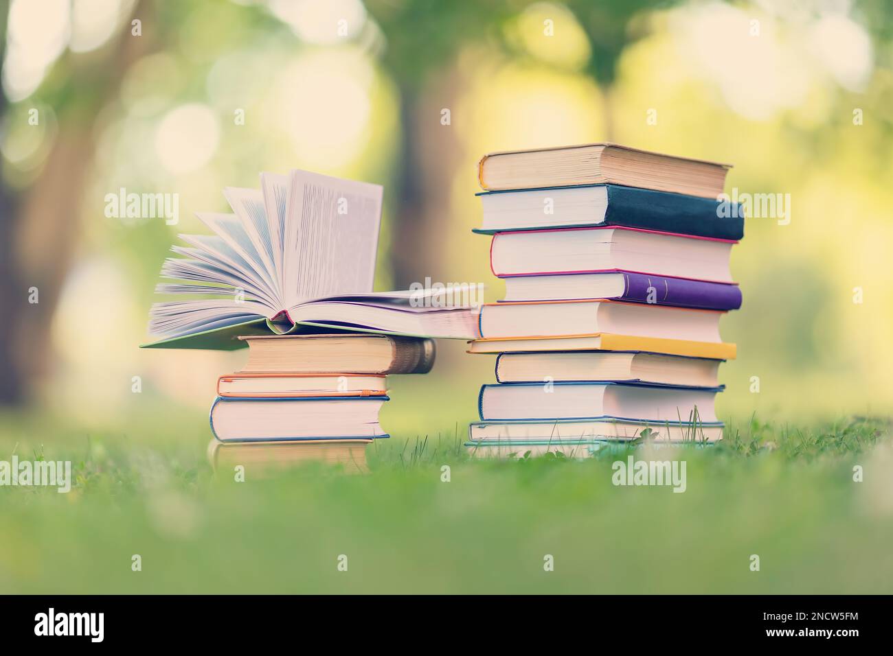 Stack of books outdoors hi-res stock photography and images - Alamy