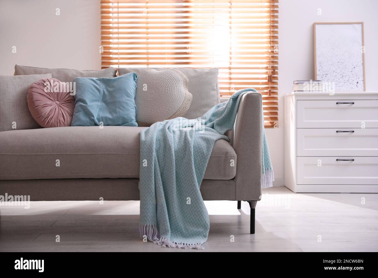 Comfortable sofa in modern living room. Interior design Stock Photo - Alamy