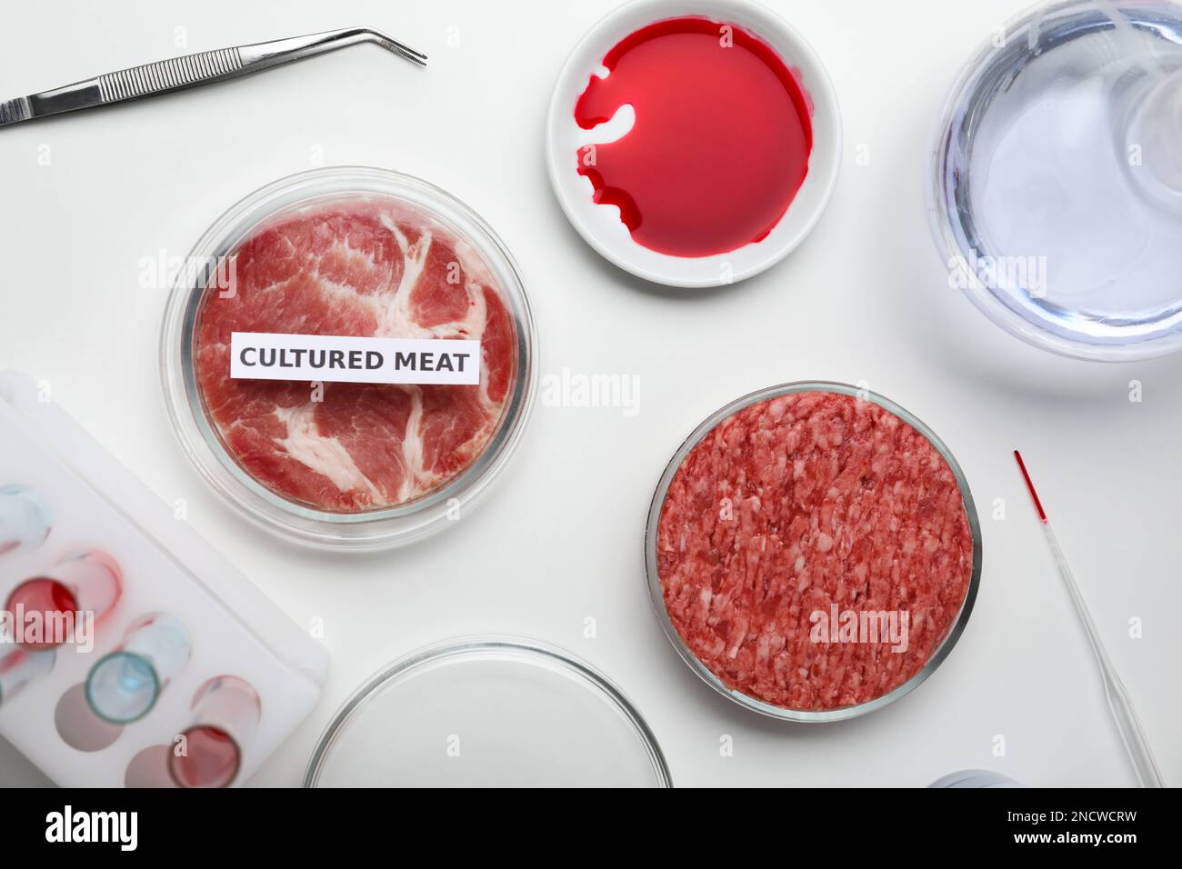 Samples of cultured meats on white lab table, flat lay Stock Photo - Alamy