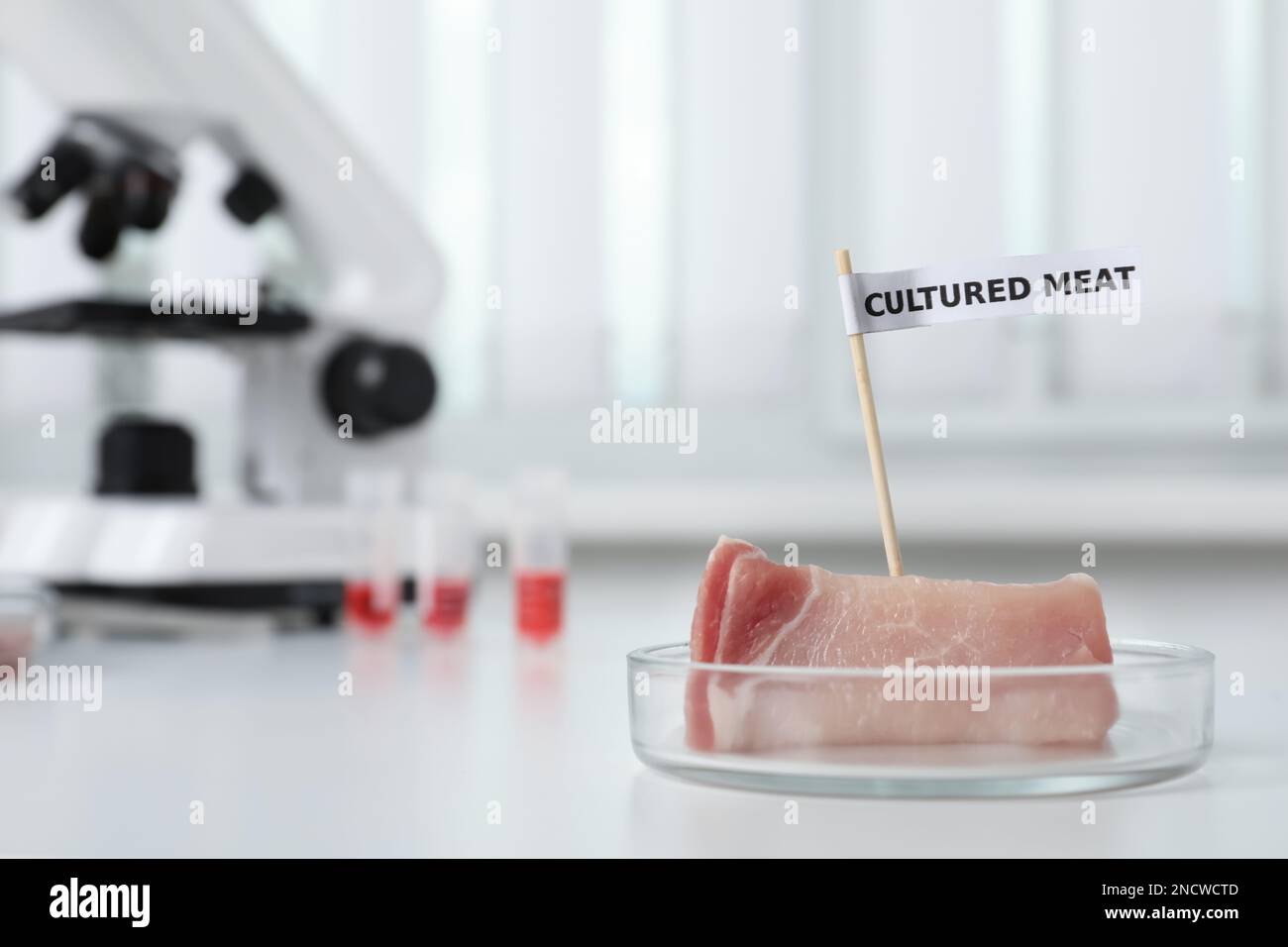 Petri dish with sample of lab grown pork labeled Cultured Meat on white ...