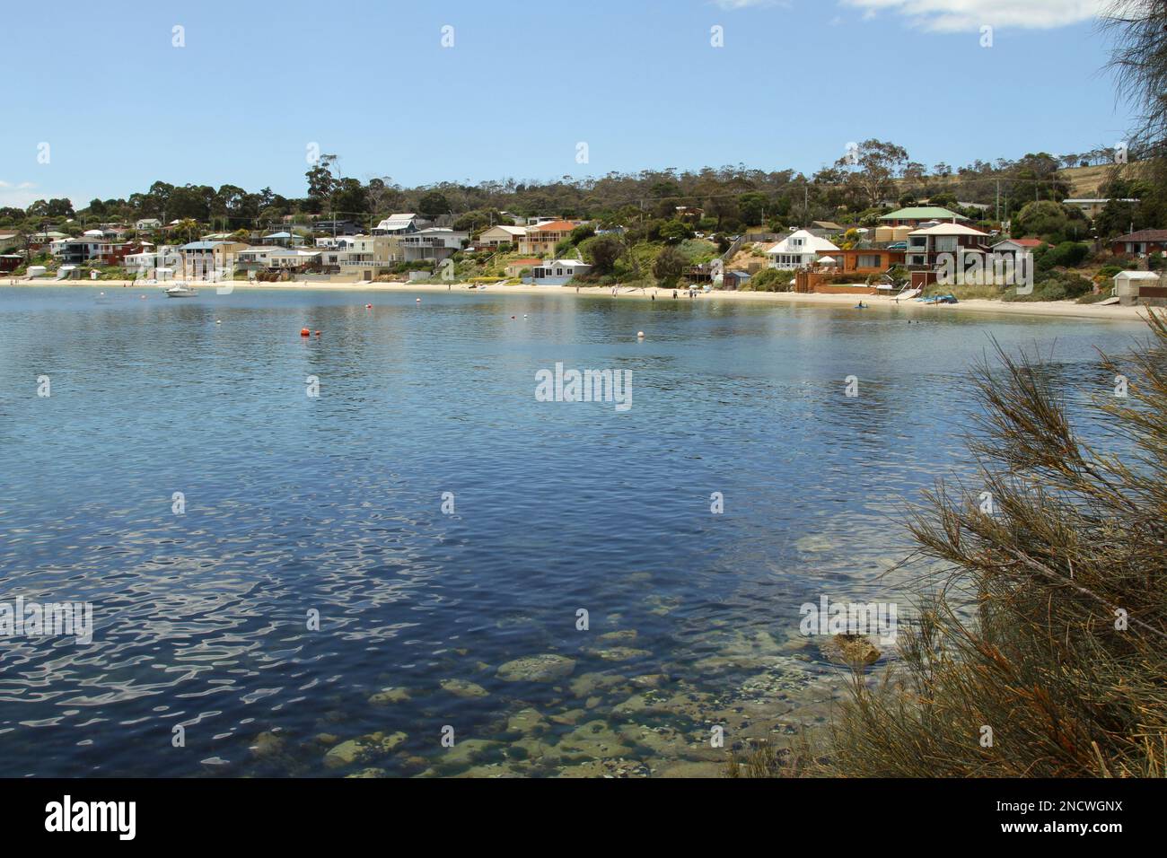 Opossum bay beach hi-res stock photography and images - Alamy