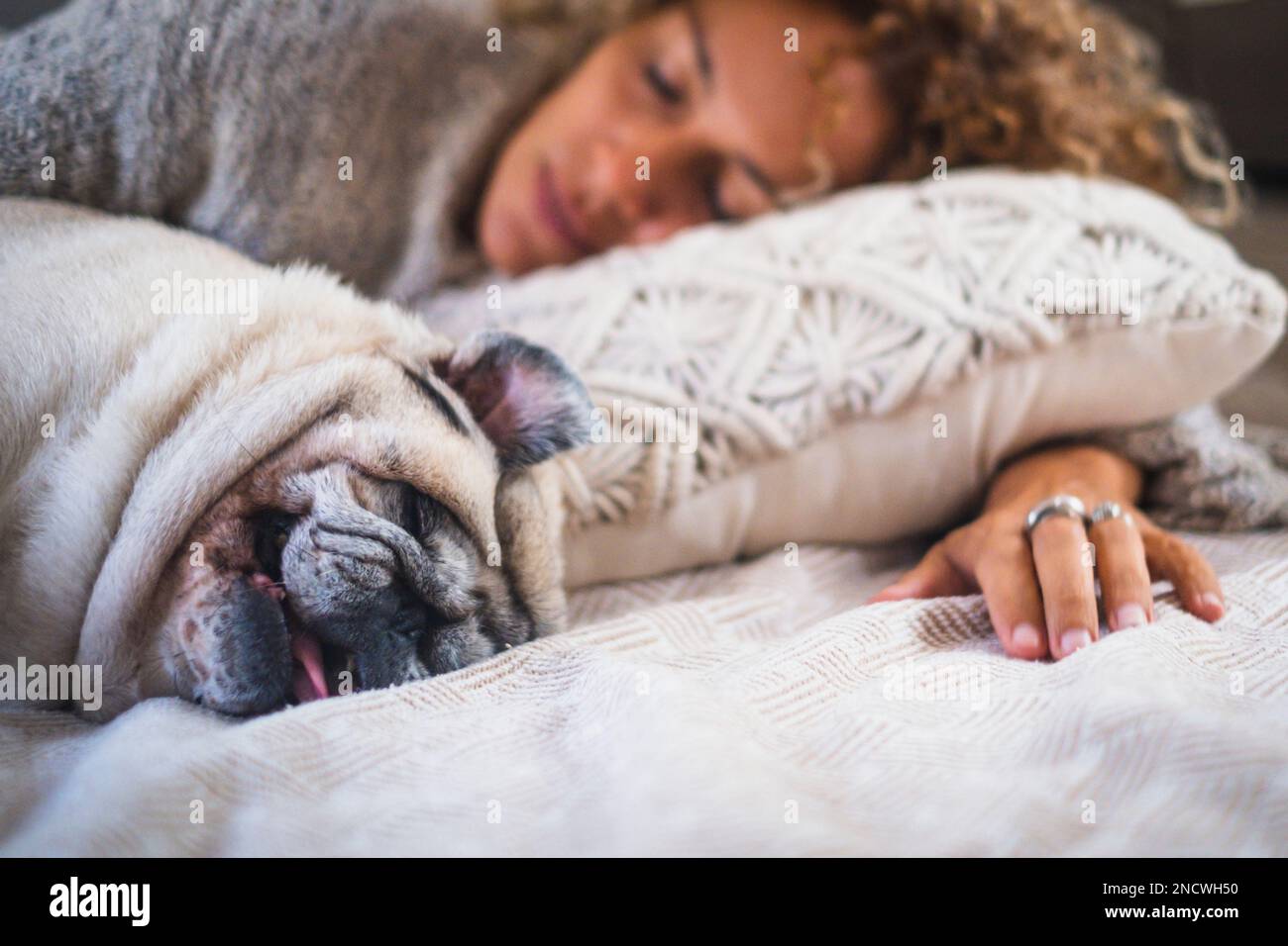 Female people living happy with a dog. One woman pet owner sleeping ...